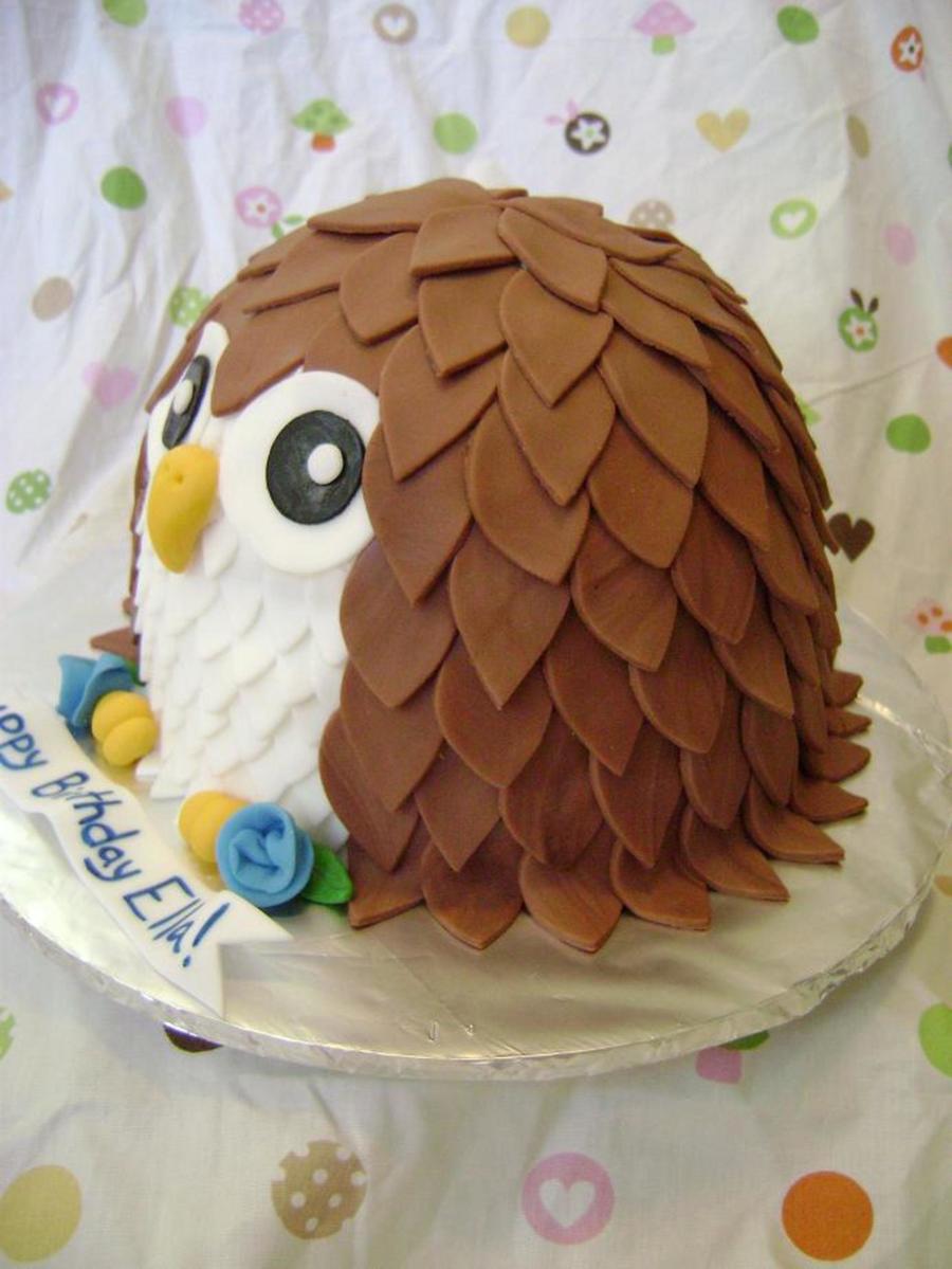 Owl Cake - CakeCentral.com
