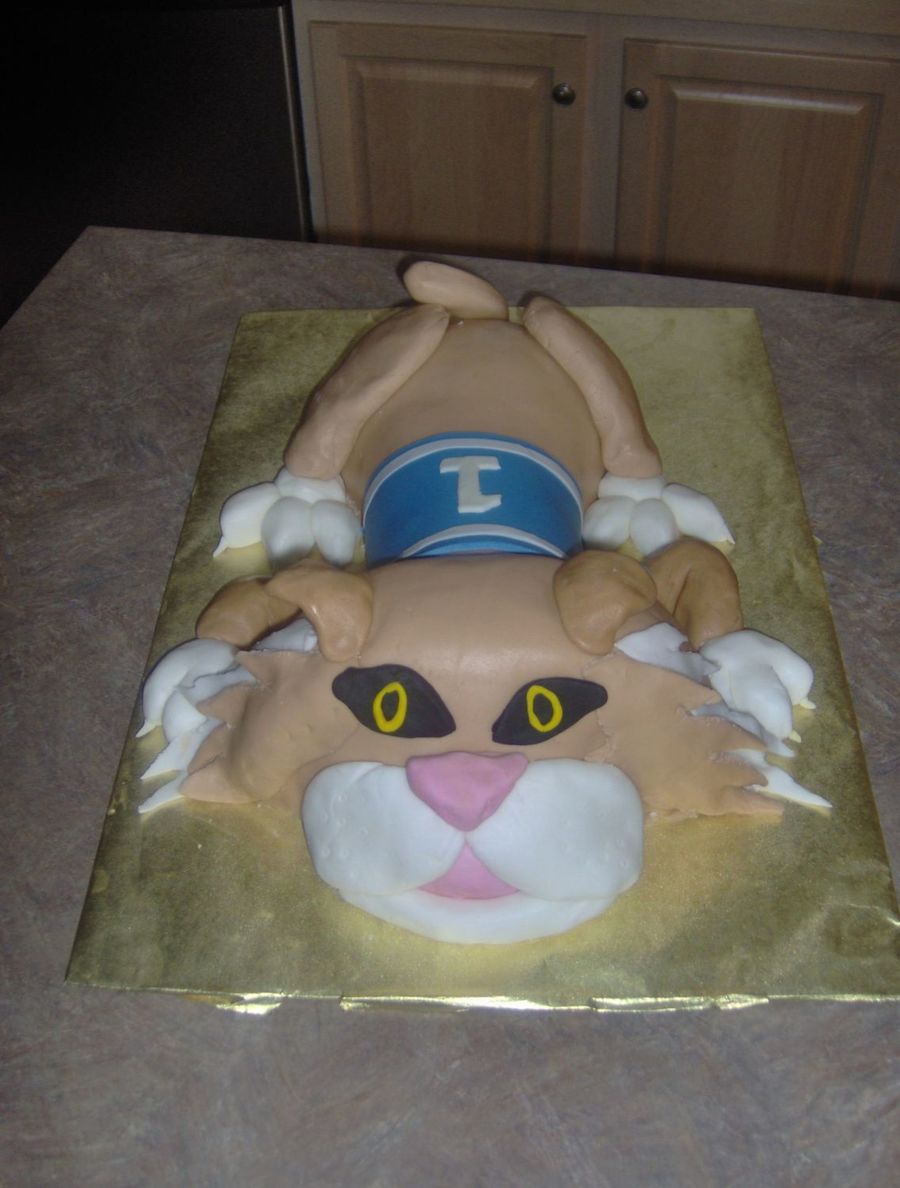 Kentucky Wildcat Birthday Cake - CakeCentral.com