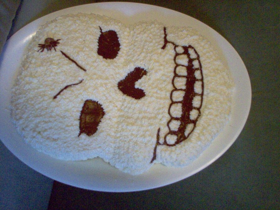 Skull Cake - CakeCentral.com