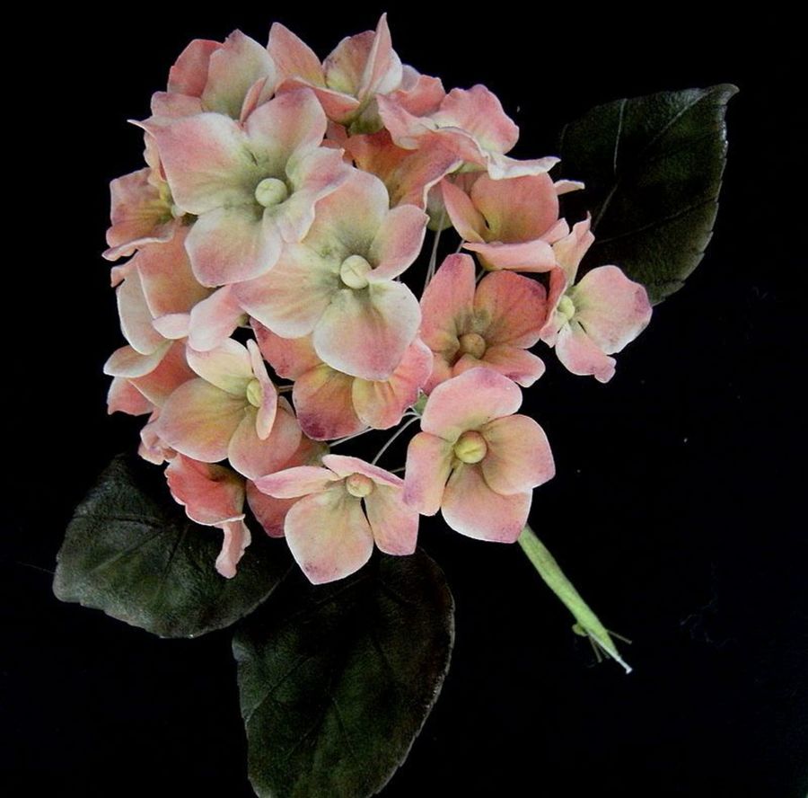 Hydrangea - CakeCentral.com