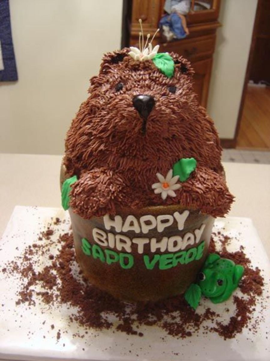 Groundhog Cake - CakeCentral.com