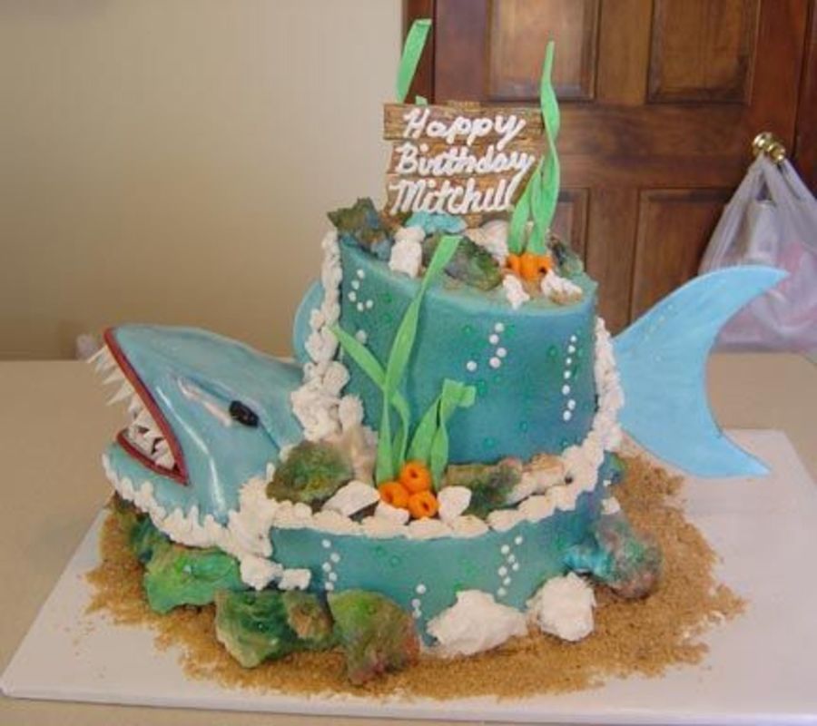 Shark Cake - CakeCentral.com