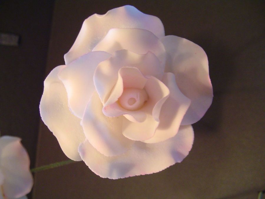 White Rose Dusted With Pink Chalk - CakeCentral.com