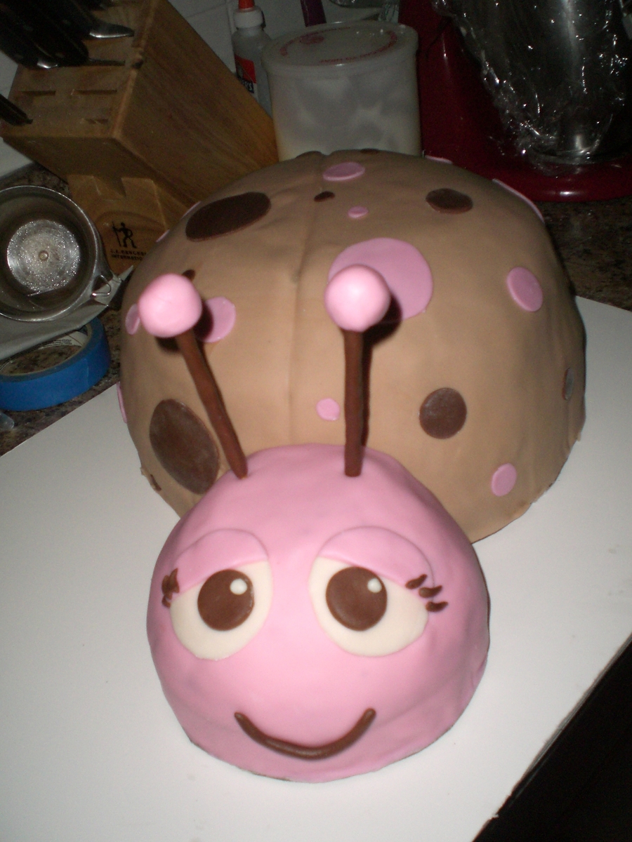 Lady Bug - CakeCentral.com