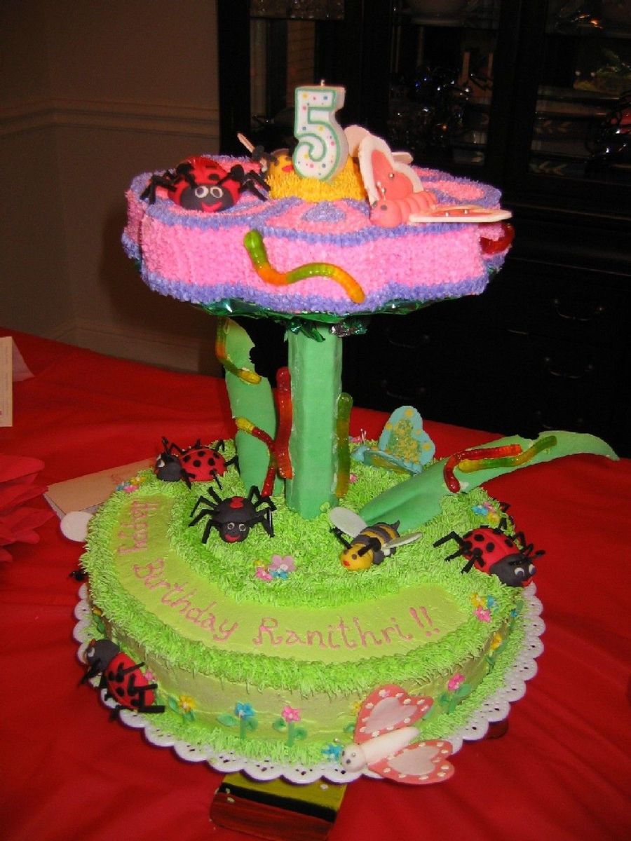 Bug Birthday Cake - CakeCentral.com