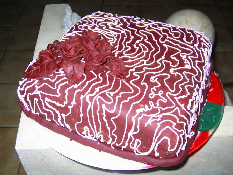 My First Cornelli Lace Cake - CakeCentral.com