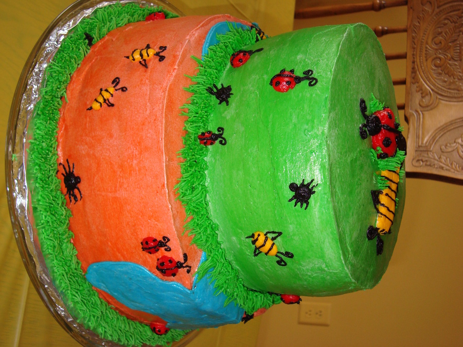 Cole's 10Th Birthday-Bugs - CakeCentral.com