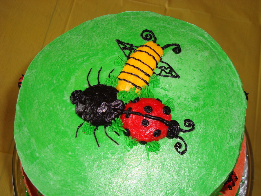 Cole's 10Th Birthday-Bugs - CakeCentral.com