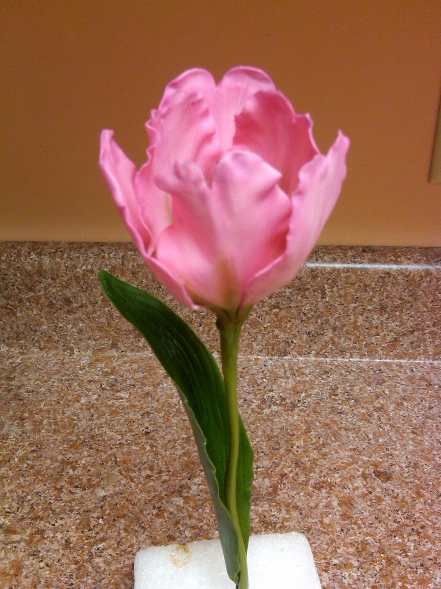 Gumpaste Tulip - CakeCentral.com