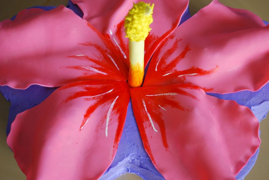 Large Hibiscus Cake - CakeCentral.com