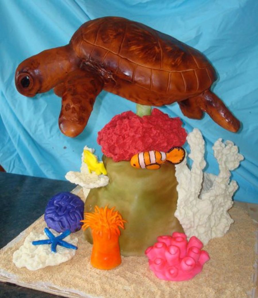 Sea Turtle Cake - CakeCentral.com