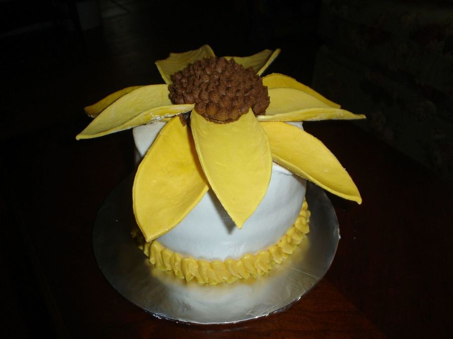 Sunflower Cake - CakeCentral.com