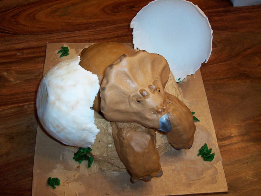 Hatching Triceratops. - CakeCentral.com