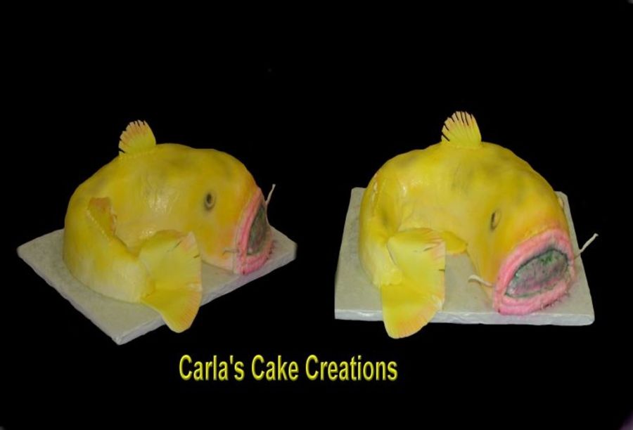 Yellow Catfish - CakeCentral.com