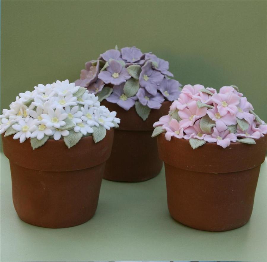 Spring Flower Pots - CakeCentral.com