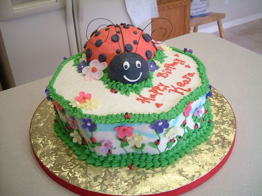 Ladybug Theme Cake - CakeCentral.com