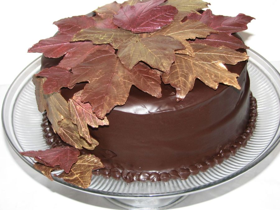 Chocolate Leaf - CakeCentral.com