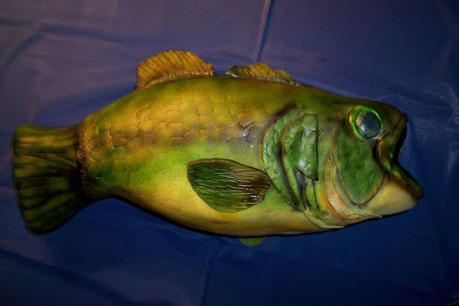 Bass - CakeCentral.com