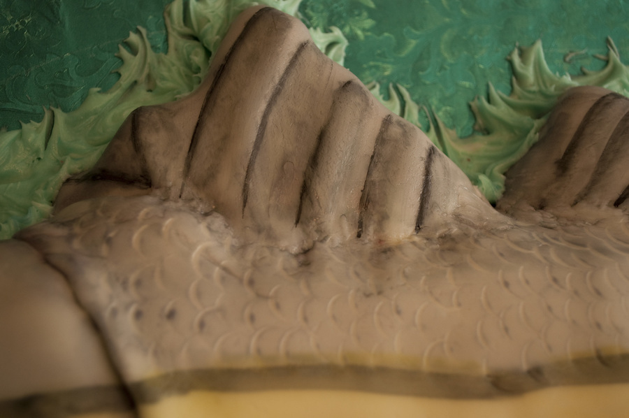 Snook Fish Cake - CakeCentral.com