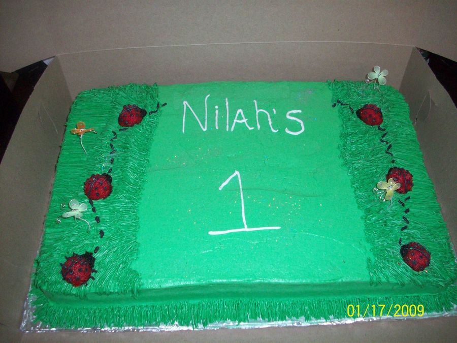 Lady Bug Cake - CakeCentral.com