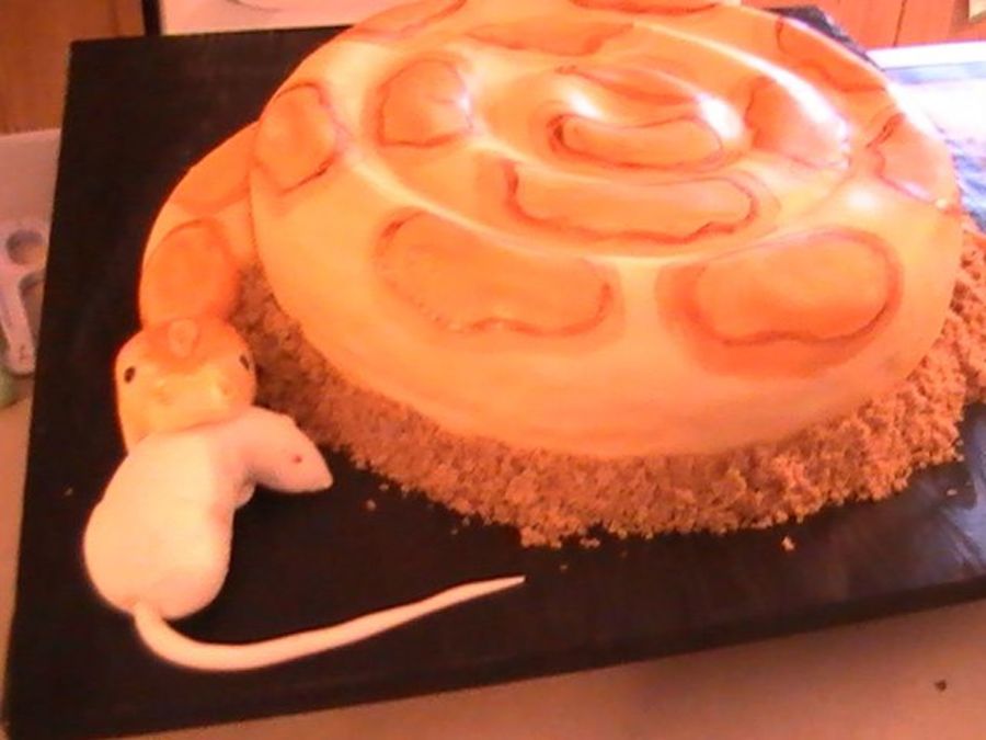 Snake Cake - CakeCentral.com