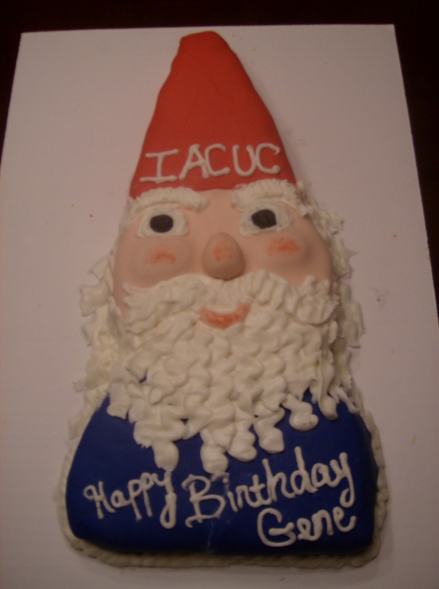 Gnome Cake - CakeCentral.com
