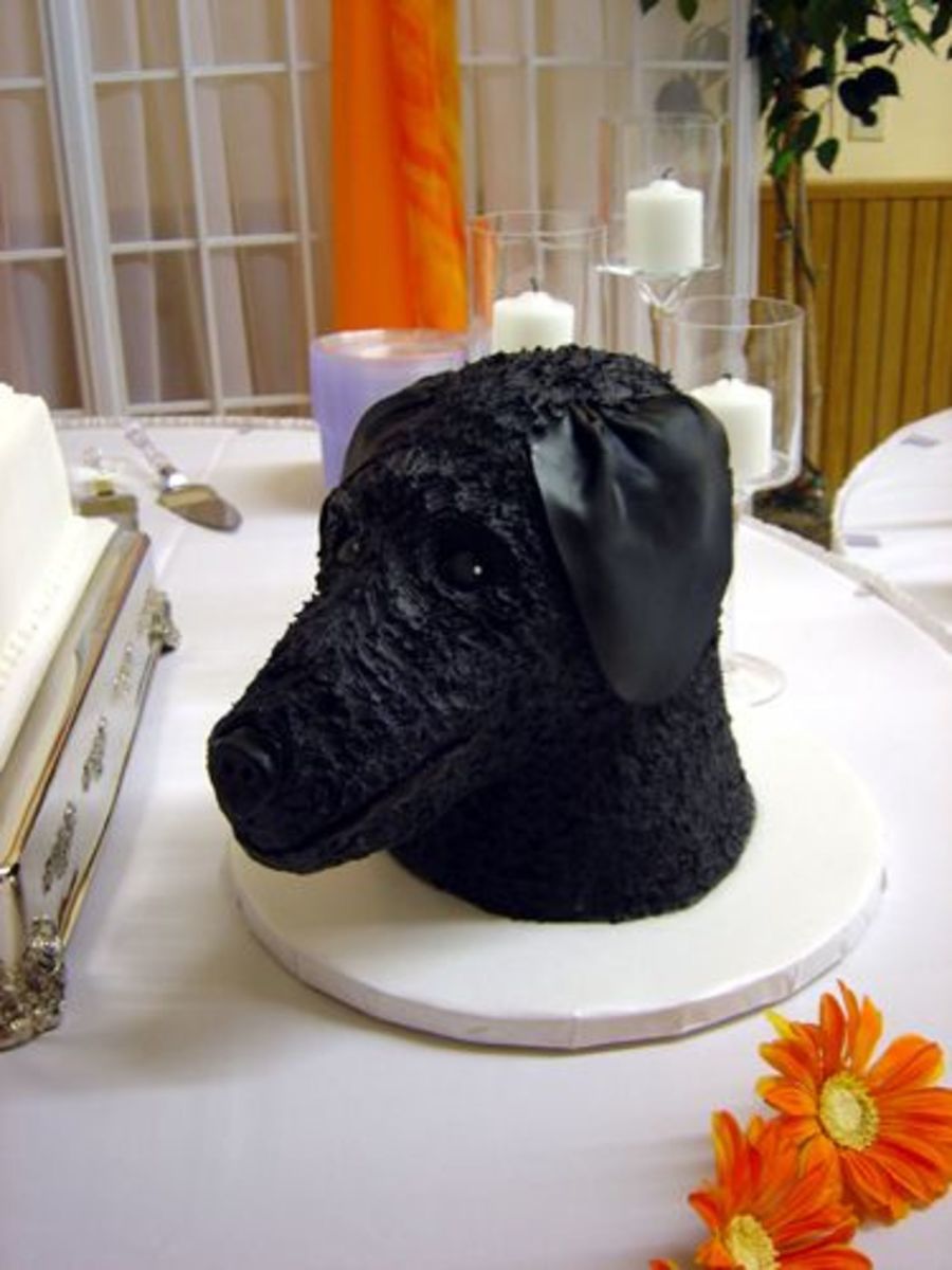 Black Lab - CakeCentral.com