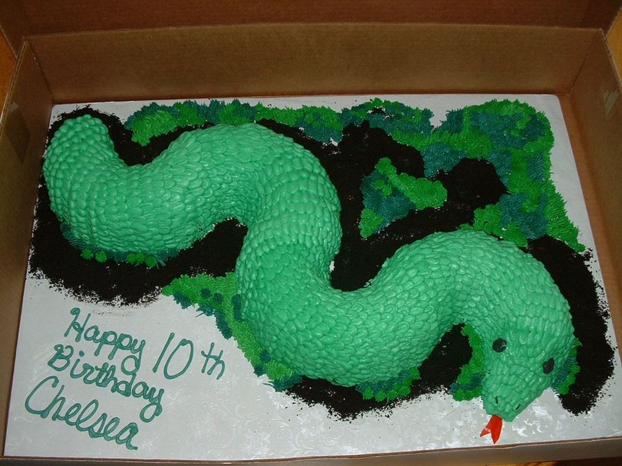 Green Snake Cake - CakeCentral.com