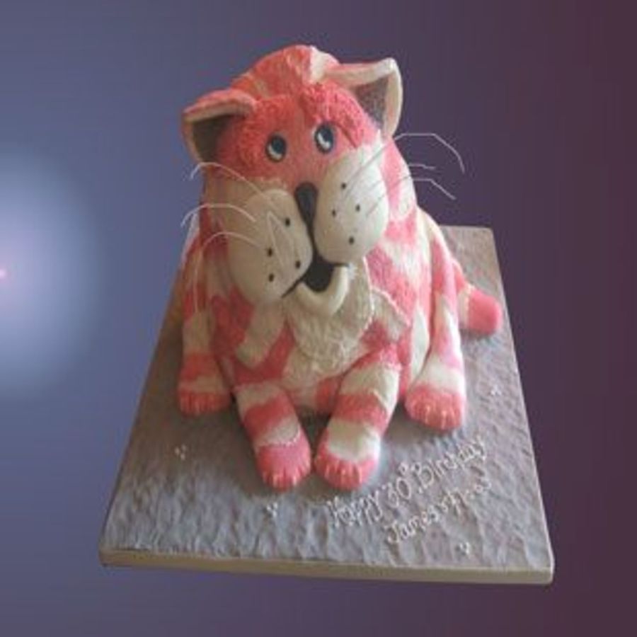Bagpuss 3D Novelty Cake - CakeCentral.com