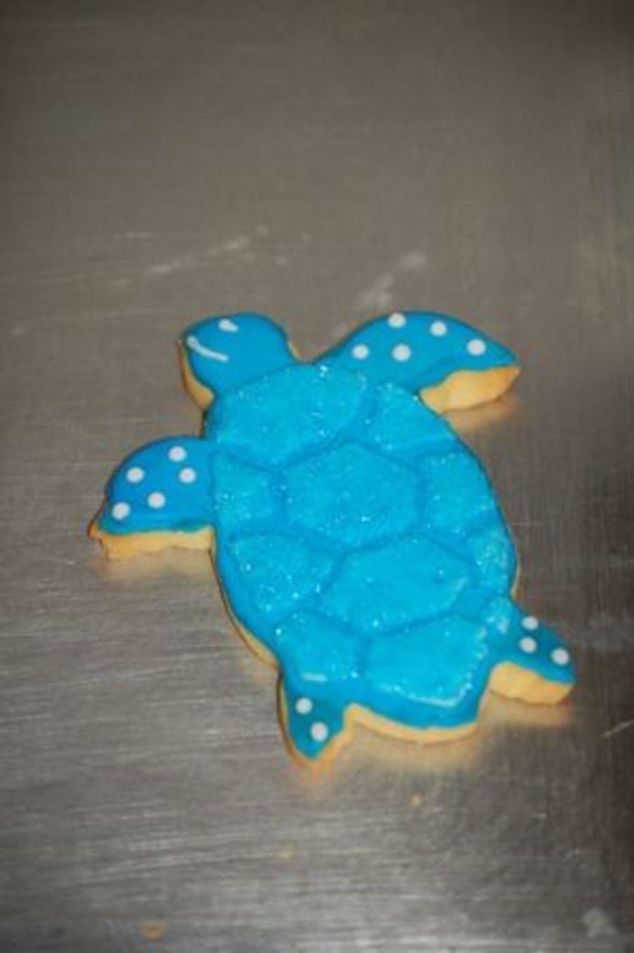 Sea Turtle Sugar Cookie - CakeCentral.com
