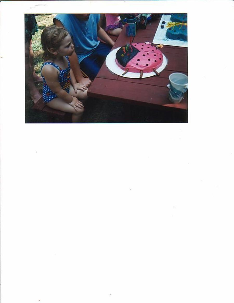 Ladybug Cake 1999 - CakeCentral.com