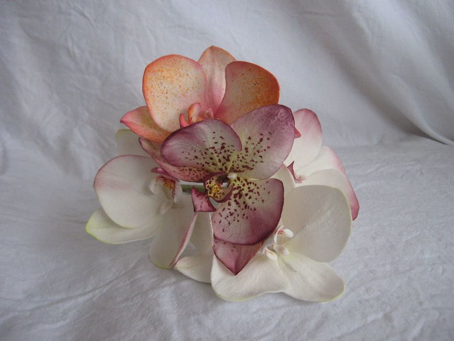 Moth Orchids - CakeCentral.com