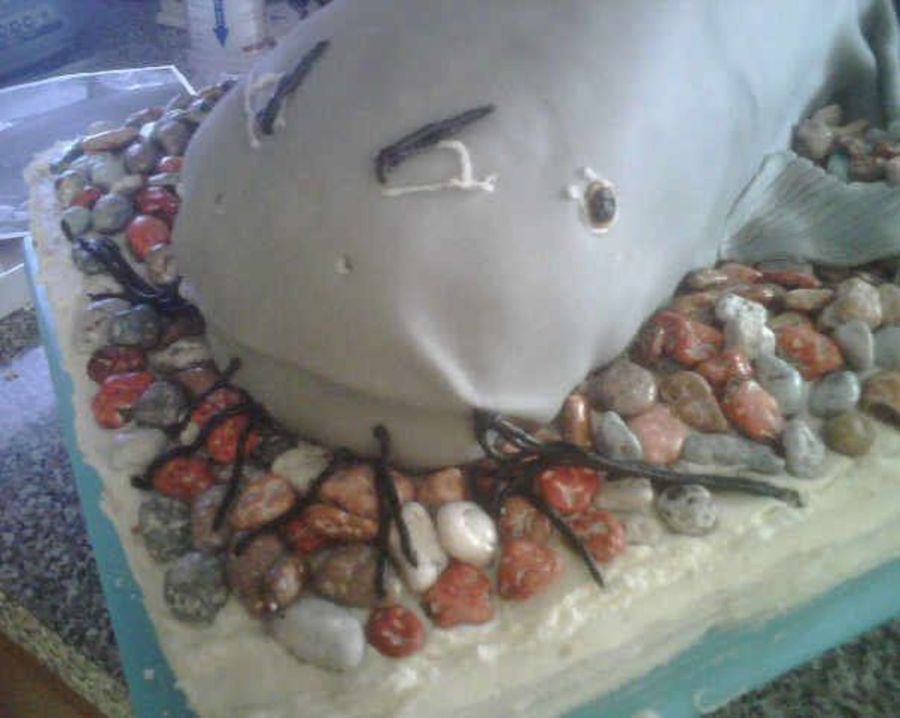 Catfish Cake - CakeCentral.com