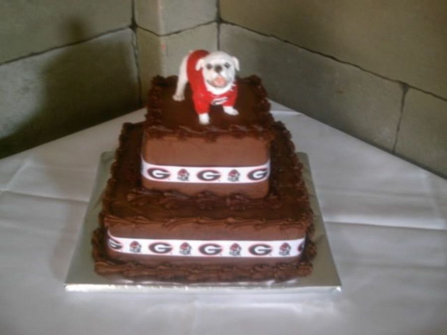 Georgia Bulldog Chocolate Grooms Cake - CakeCentral.com