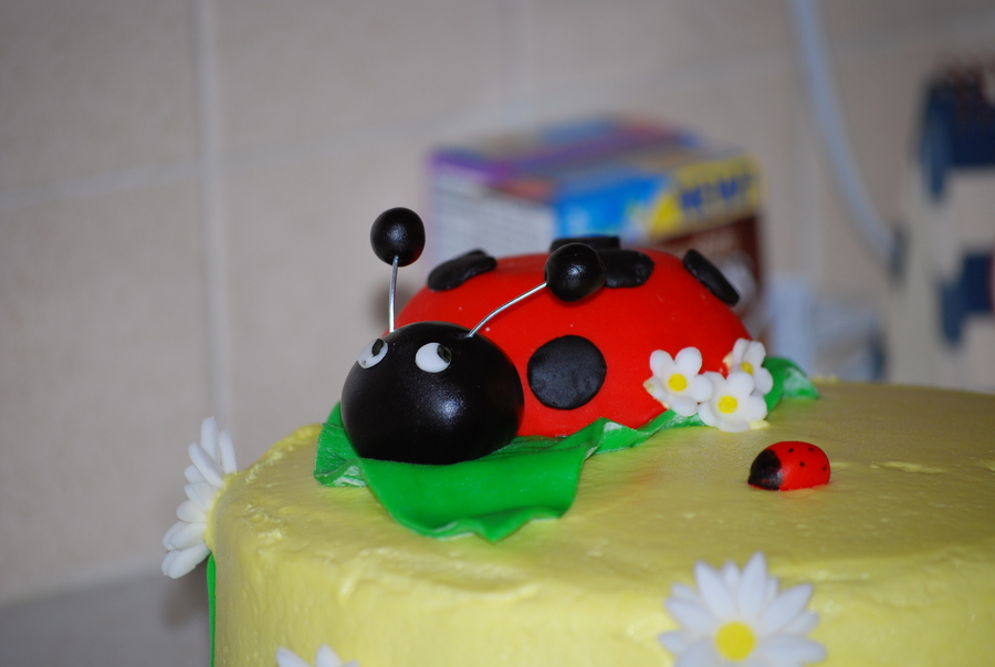 Lady Bug 1St Birthday - CakeCentral.com