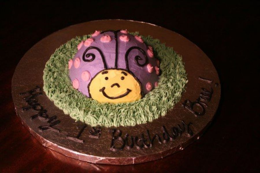 Ladybug Smash Cake - CakeCentral.com