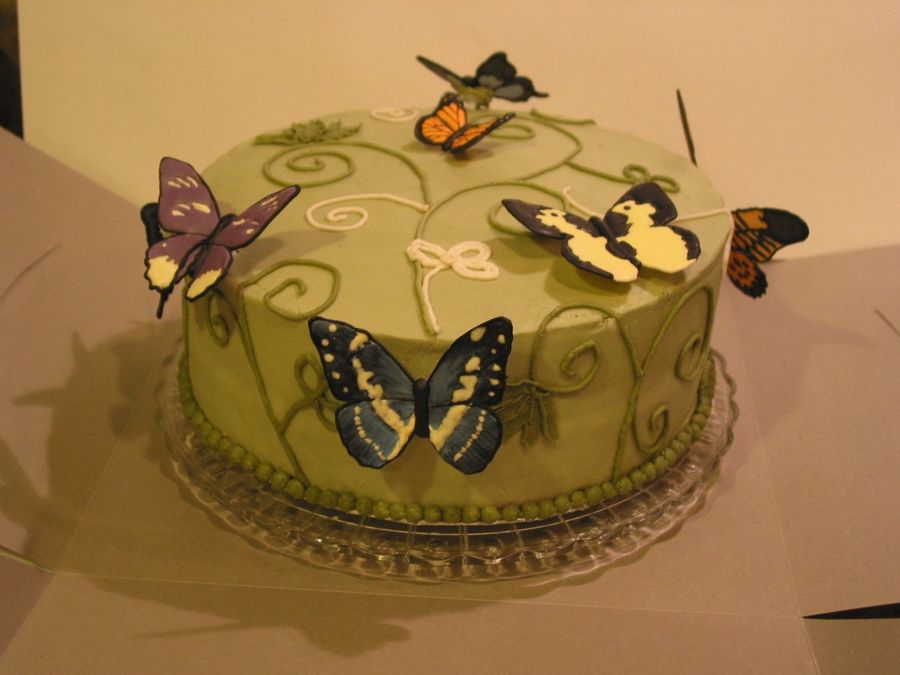Butterfly Cake - CakeCentral.com
