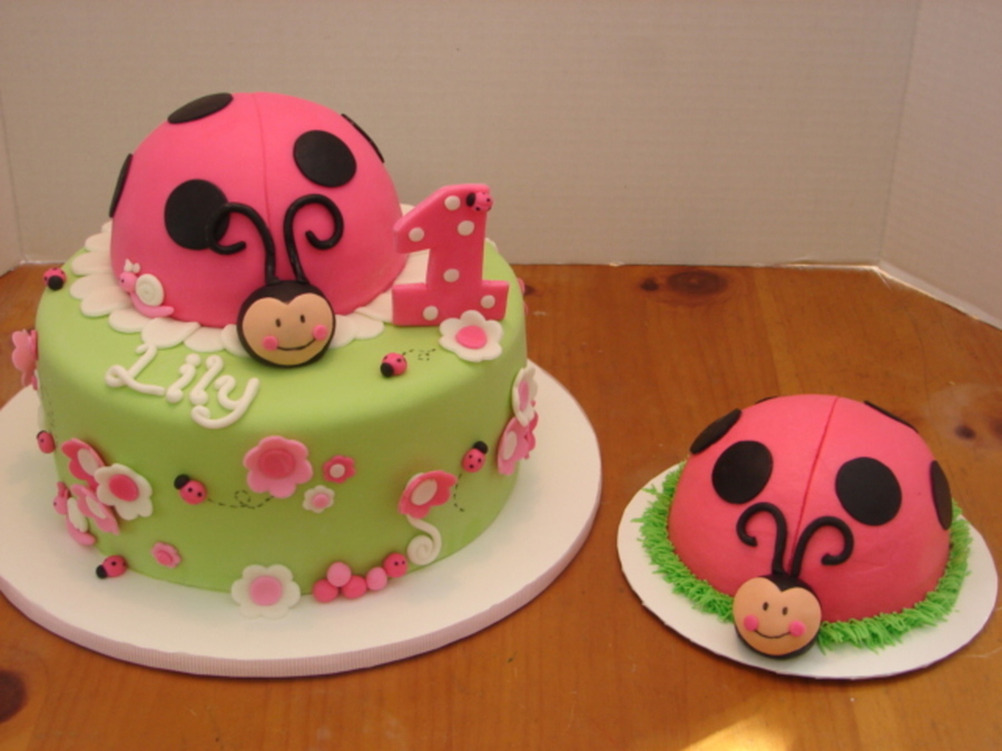 Ladybug & Smash Cake - CakeCentral.com