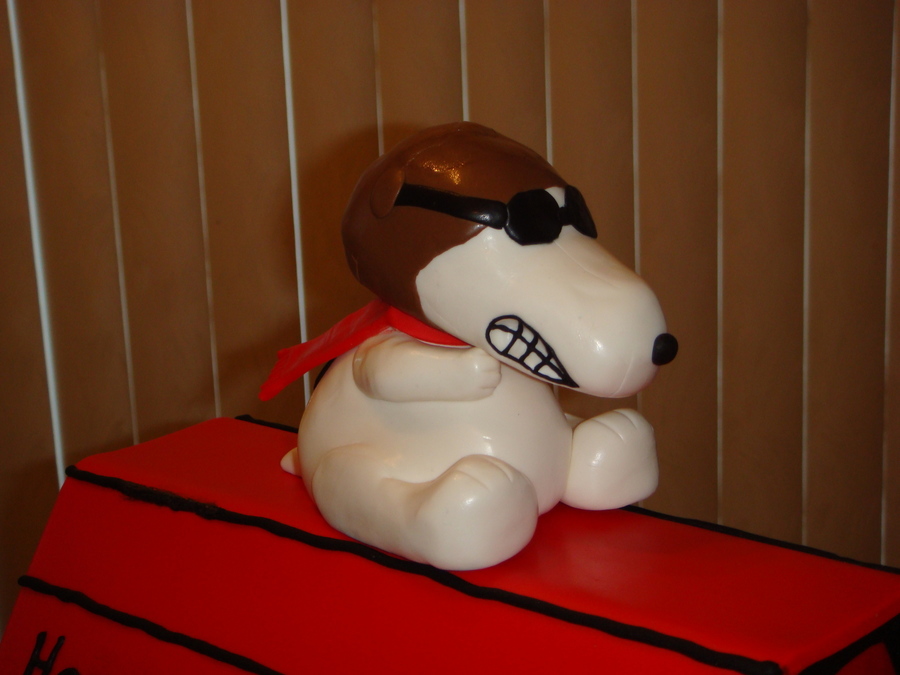 Snoopy Fighting The Red Baron - CakeCentral.com