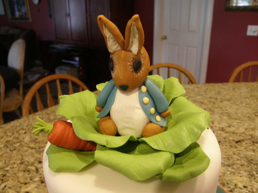 Peter Rabbit - CakeCentral.com
