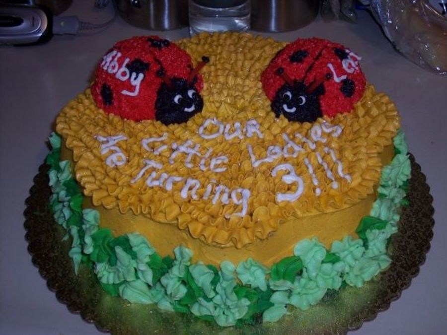Twin Lady Bugs On A Flower - CakeCentral.com