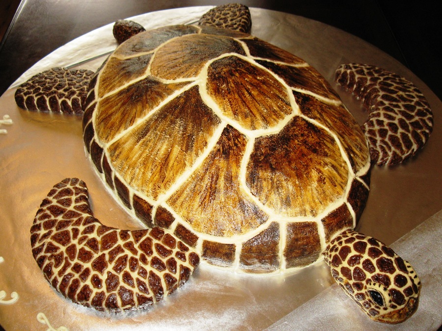 Sea Turtle - CakeCentral.com