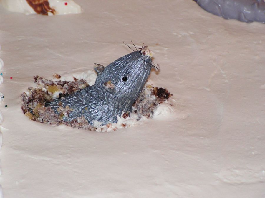 Side View Of Rat Cake - CakeCentral.com