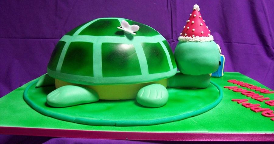 Turtle Birthday Cake 2 Of 2 - CakeCentral.com