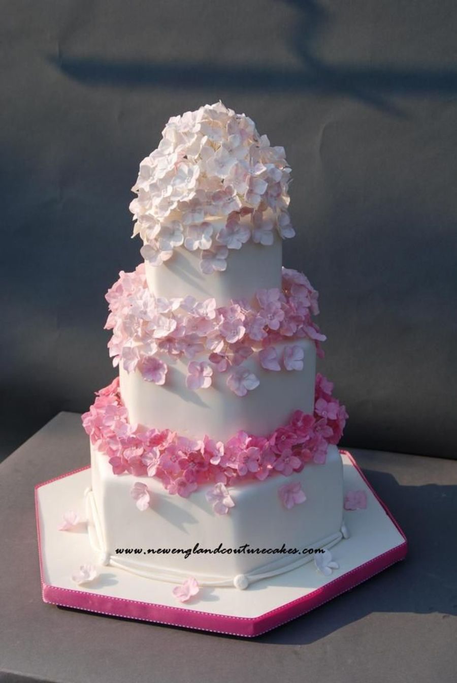 Pink Hydrangeas - CakeCentral.com