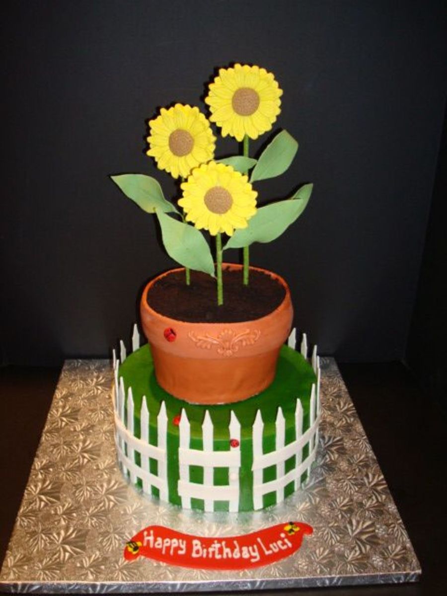 Potted Sunflowers - CakeCentral.com