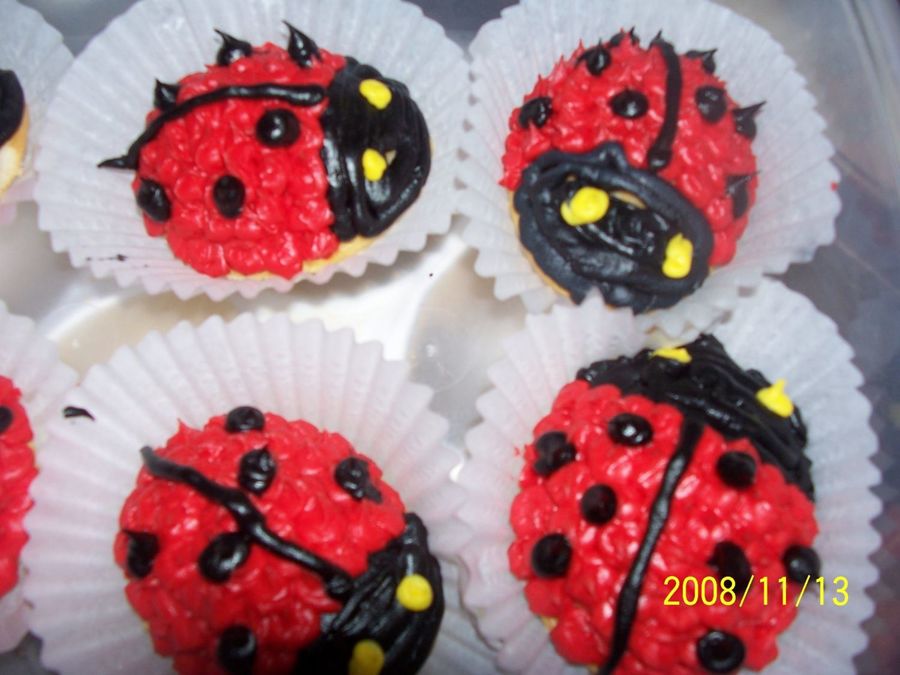 Mini Lady Bug Cakes - CakeCentral.com
