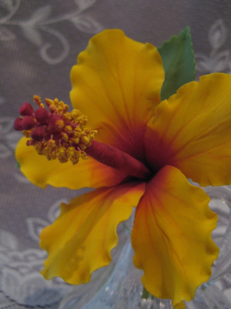 Hibiscus - CakeCentral.com