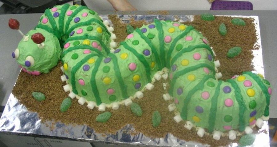 Caterpillar Cake - CakeCentral.com