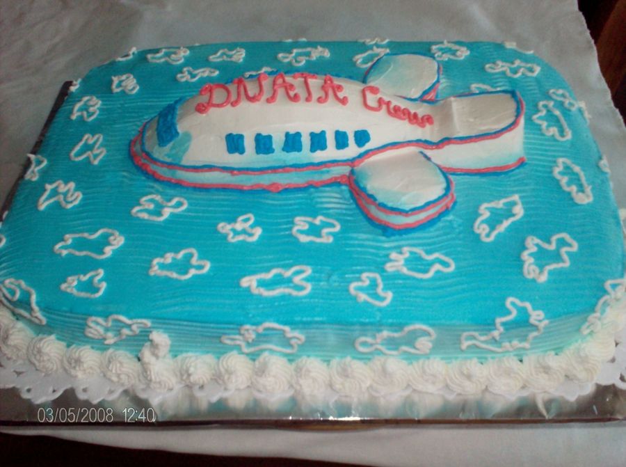Airplane Cake - CakeCentral.com